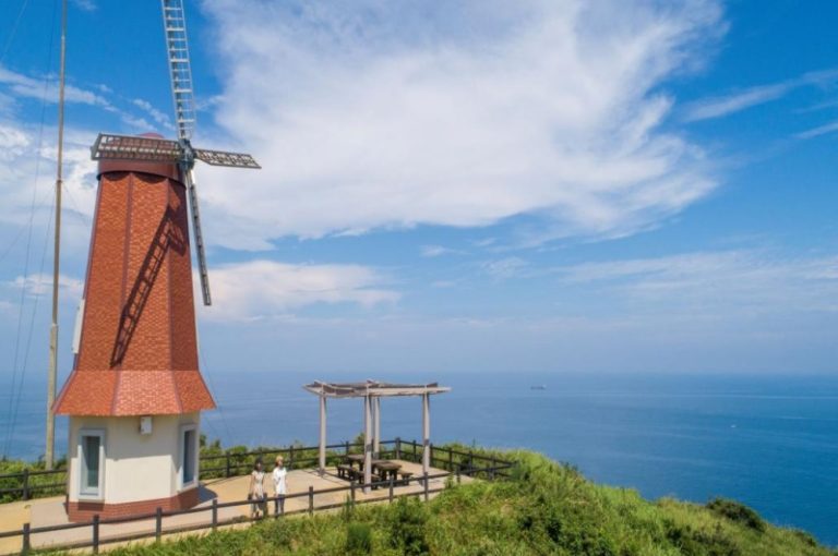 10 Hidden Windmill Gems in Japan: A Stunning Blend of Flower Fields and ...